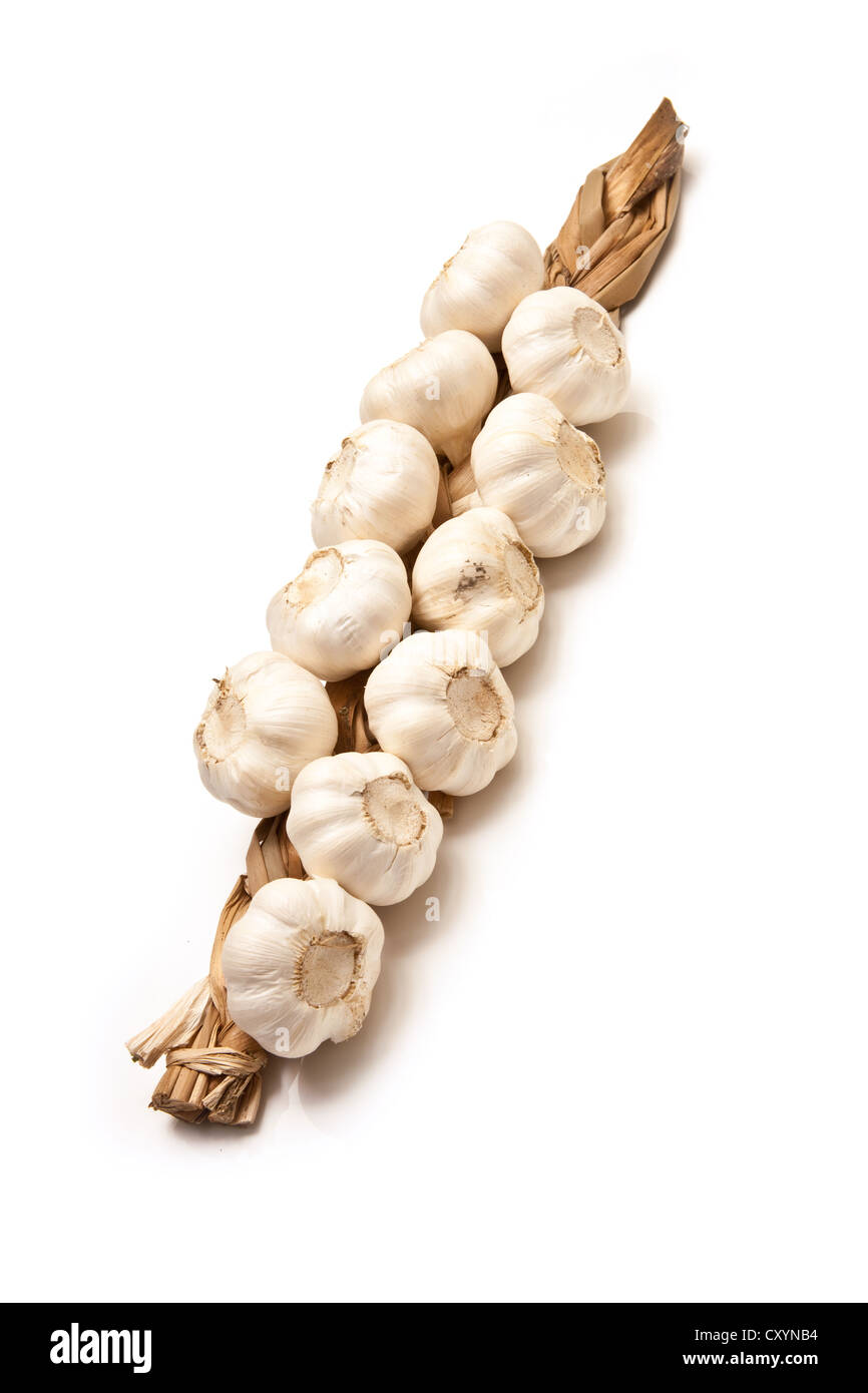 String of garlic bulbs isolated on a white studio background Stock ...