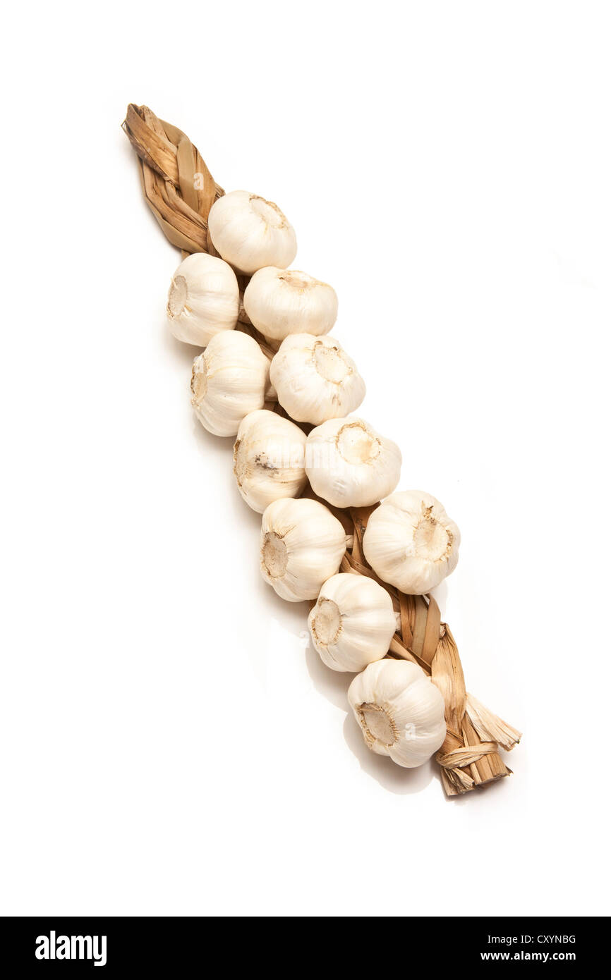 String of garlic bulbs isolated on a white studio background Stock ...