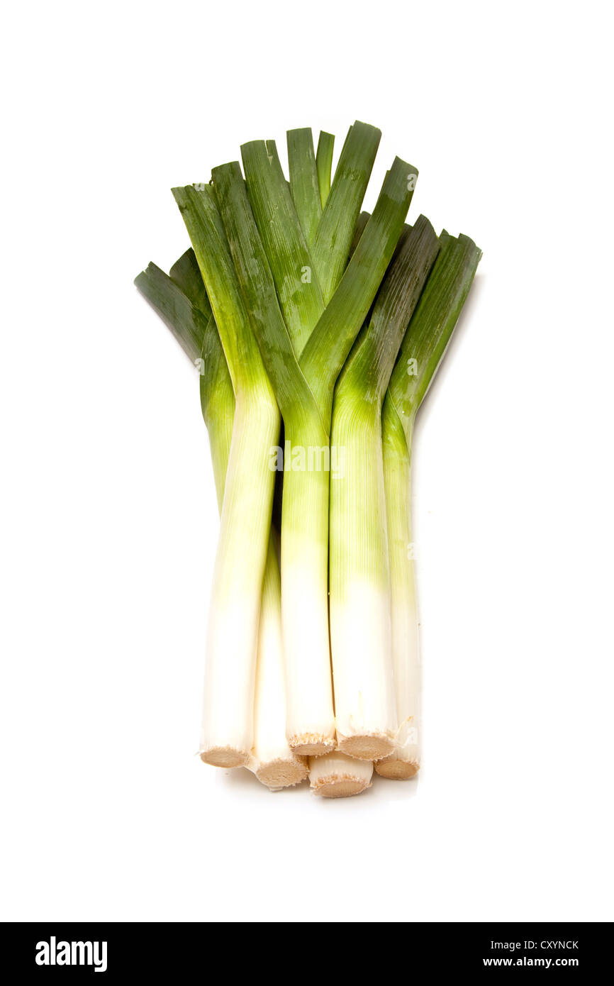 Bunch of leeks isolated on a white studio background Stock Photo - Alamy