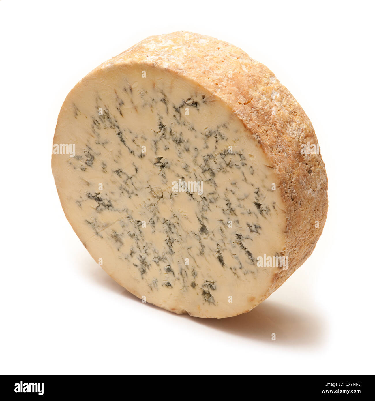 Stilton cheese isolated on a white studio background Stock Photo - Alamy