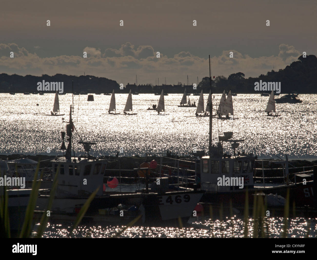 Sailing yacht in poole harbour hi-res stock photography and images - Alamy