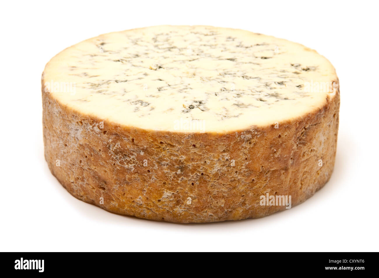 Stilton cheese isolated on a white studio background Stock Photo - Alamy