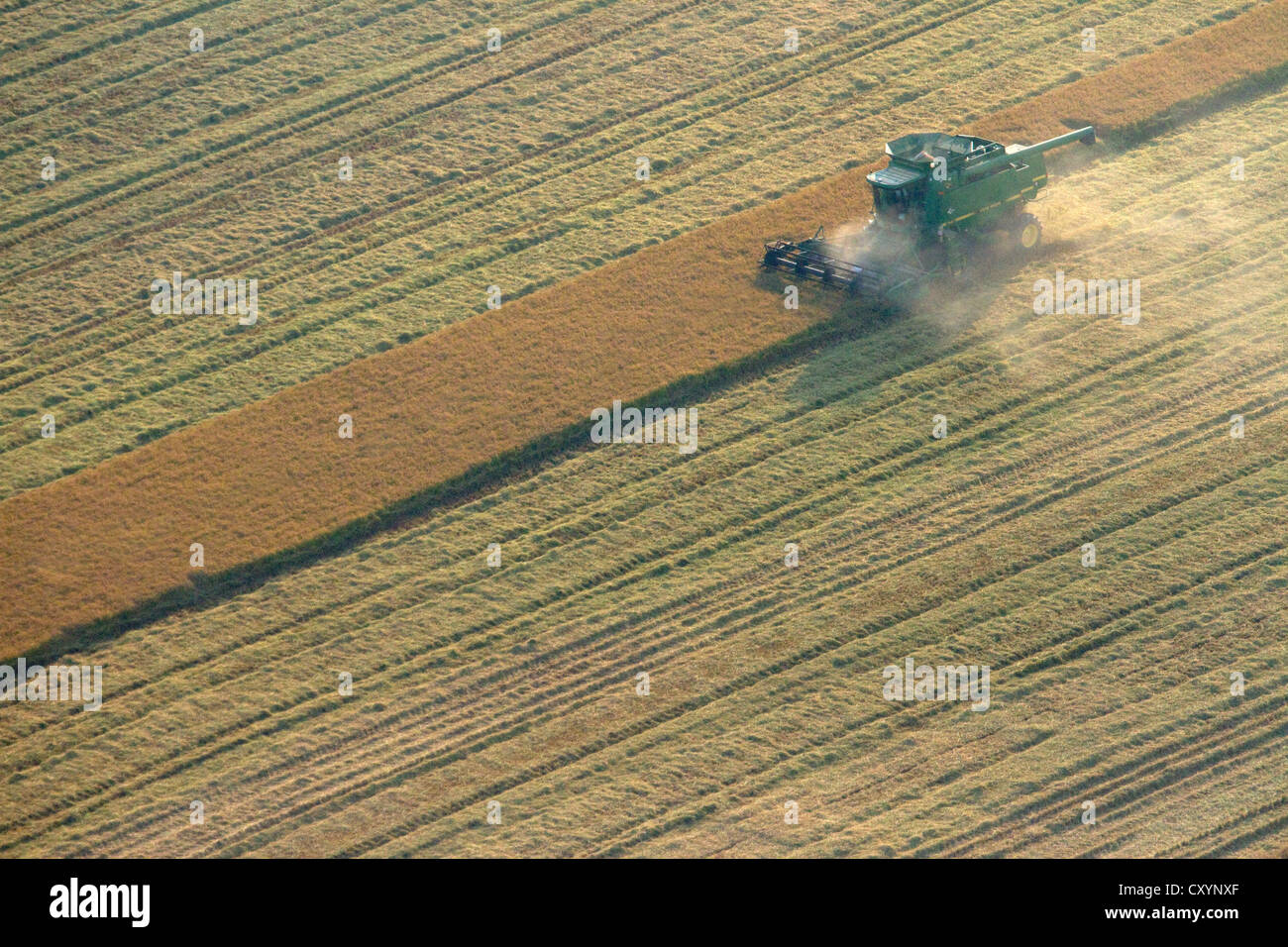 Aerial view of the rice harvest in the Sacramento Valley of Northern ...