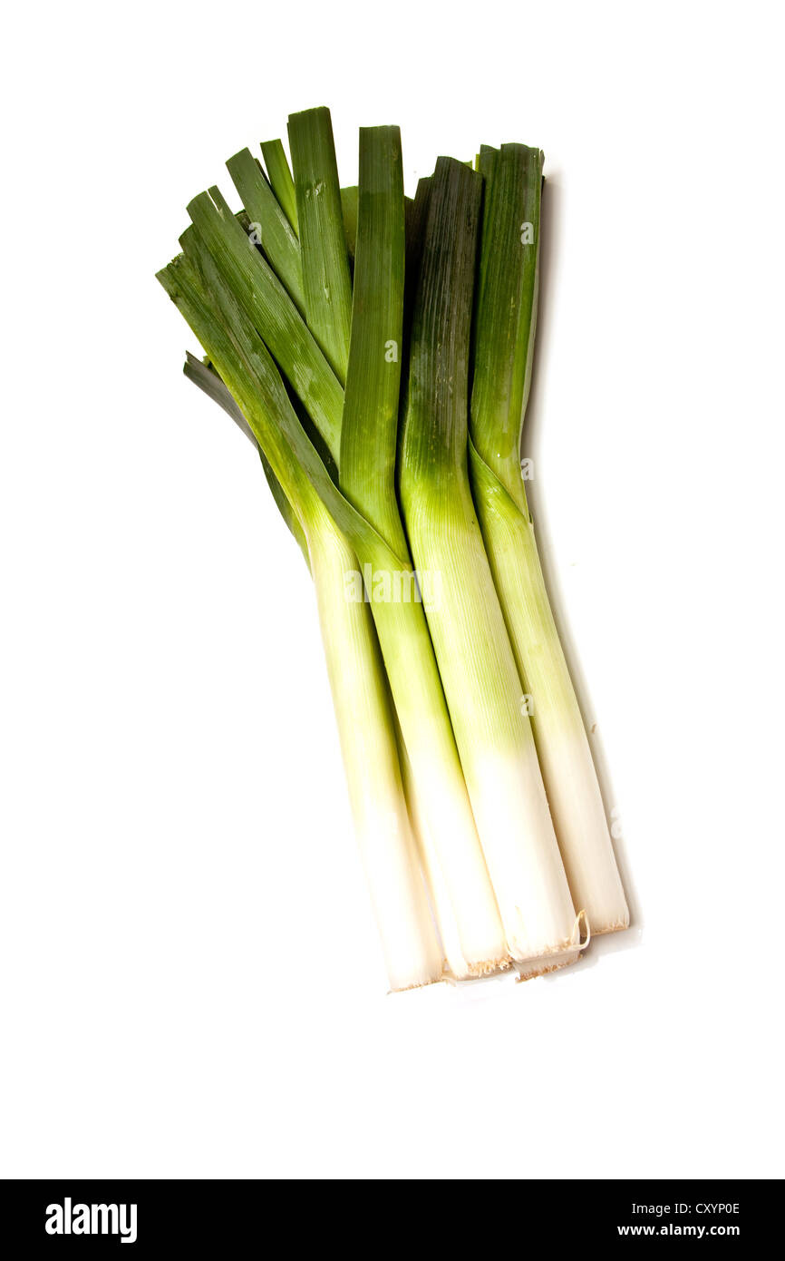 Bunch of leeks isolated on a white studio background Stock Photo - Alamy