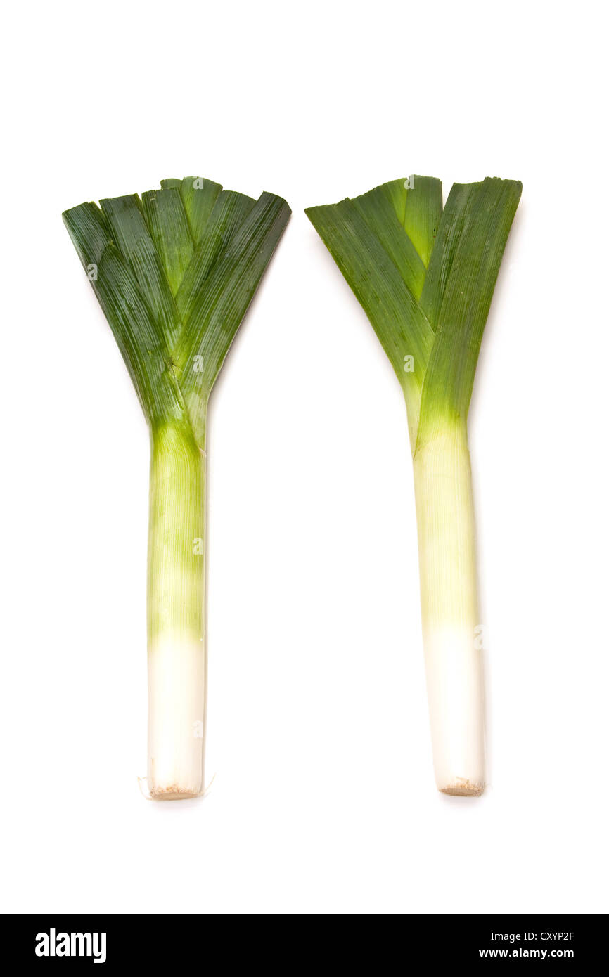 Leeks isolated on a white studio background Stock Photo - Alamy