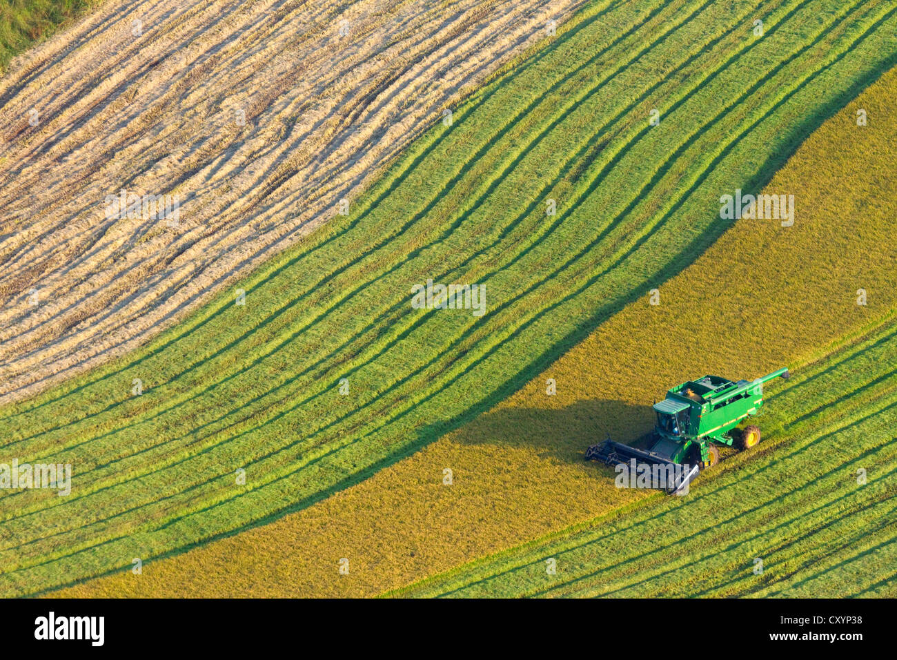 Aerial view of the rice harvest in the Sacramento Valley of Northern ...