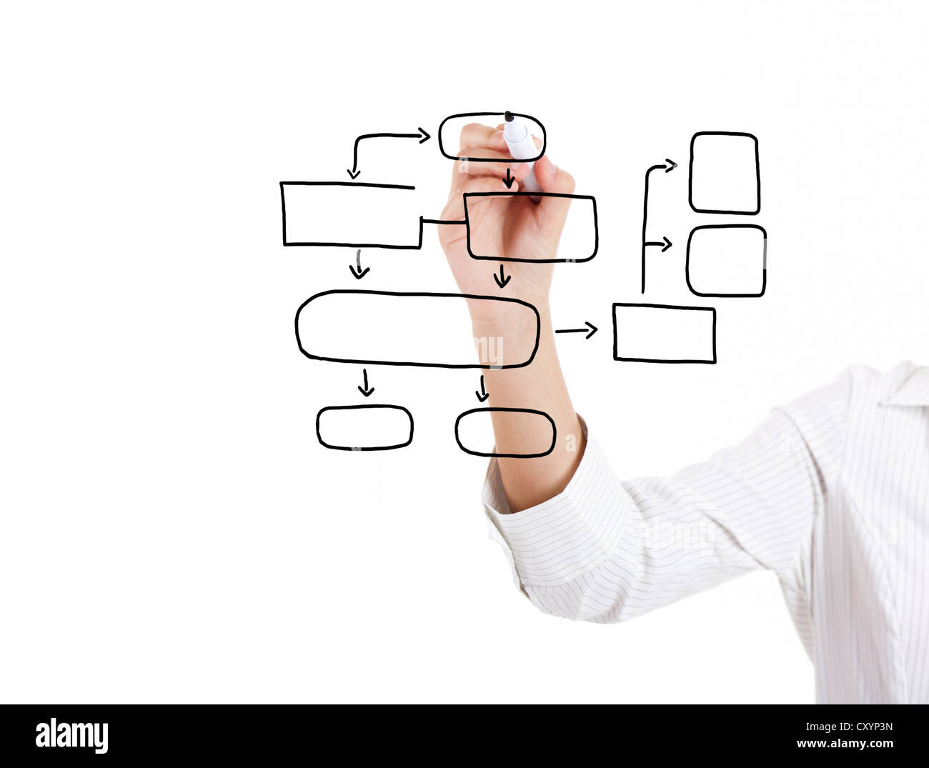 Female hand of a young businesswoman drawing a flowchart Stock Photo ...