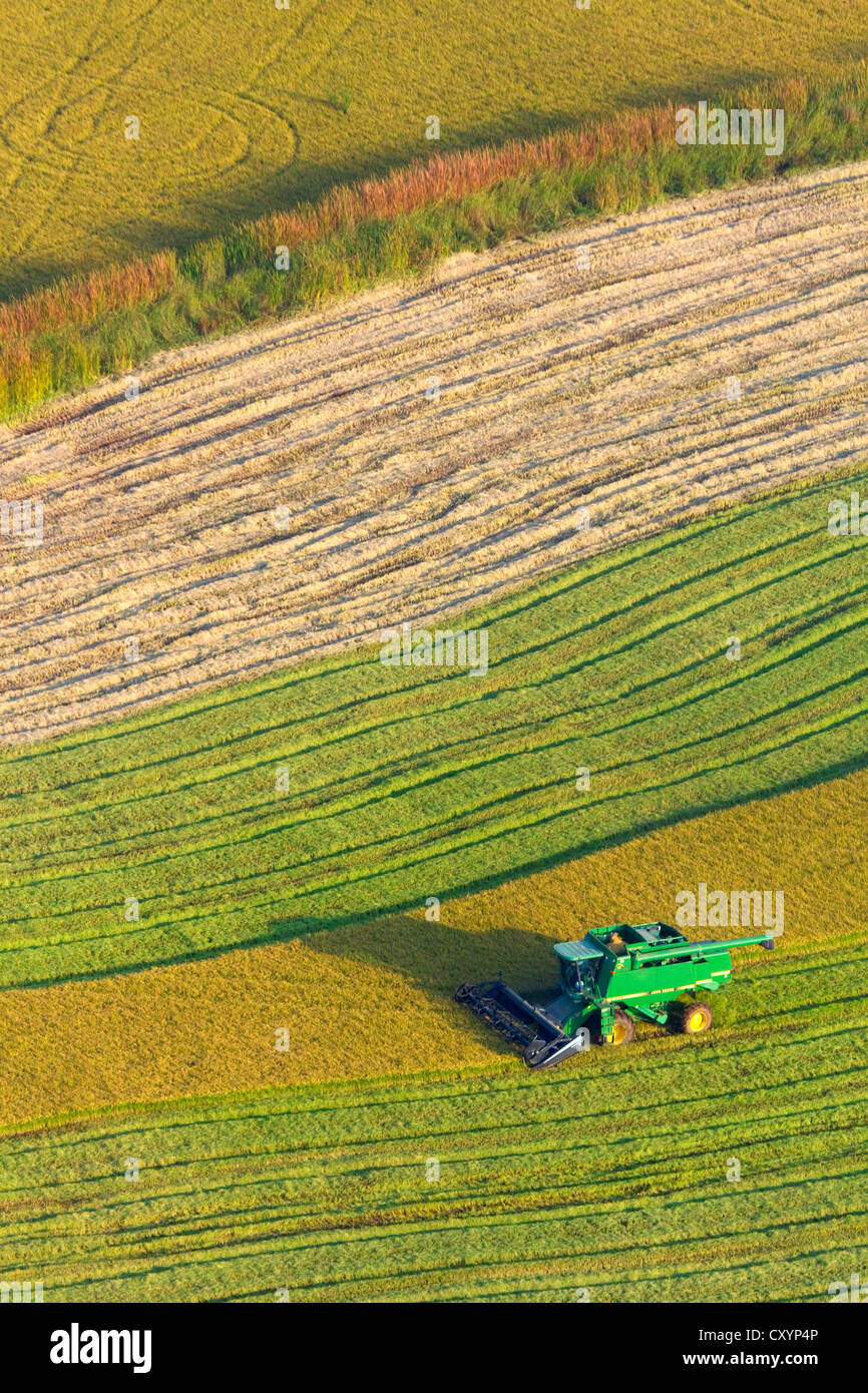 Aerial view of the rice harvest in the Sacramento Valley of Northern ...