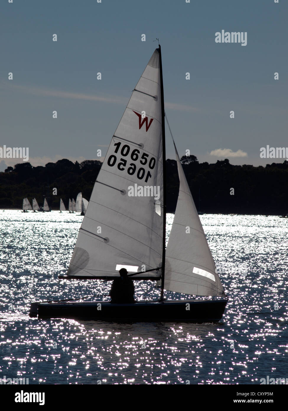 Sailing boats in Poole Harbour Stock Photo - Alamy