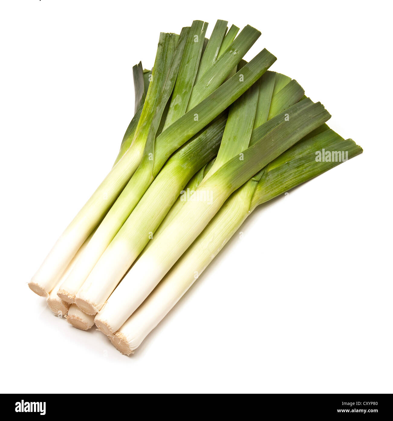 Bunch of leeks isolated on a white studio background Stock Photo - Alamy