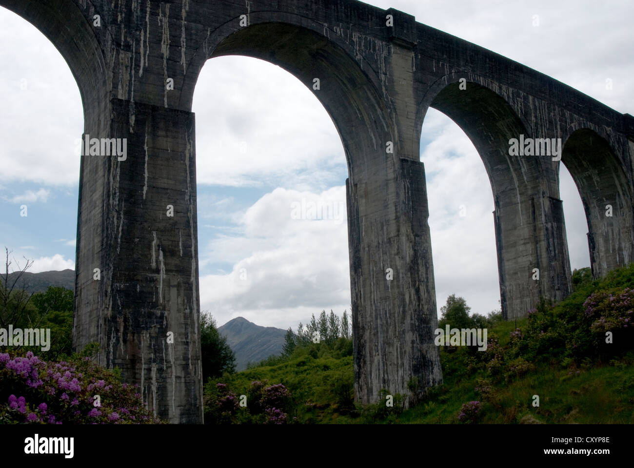 Scotland - Glenfinnan viaduct bridge Stock Photo - Alamy