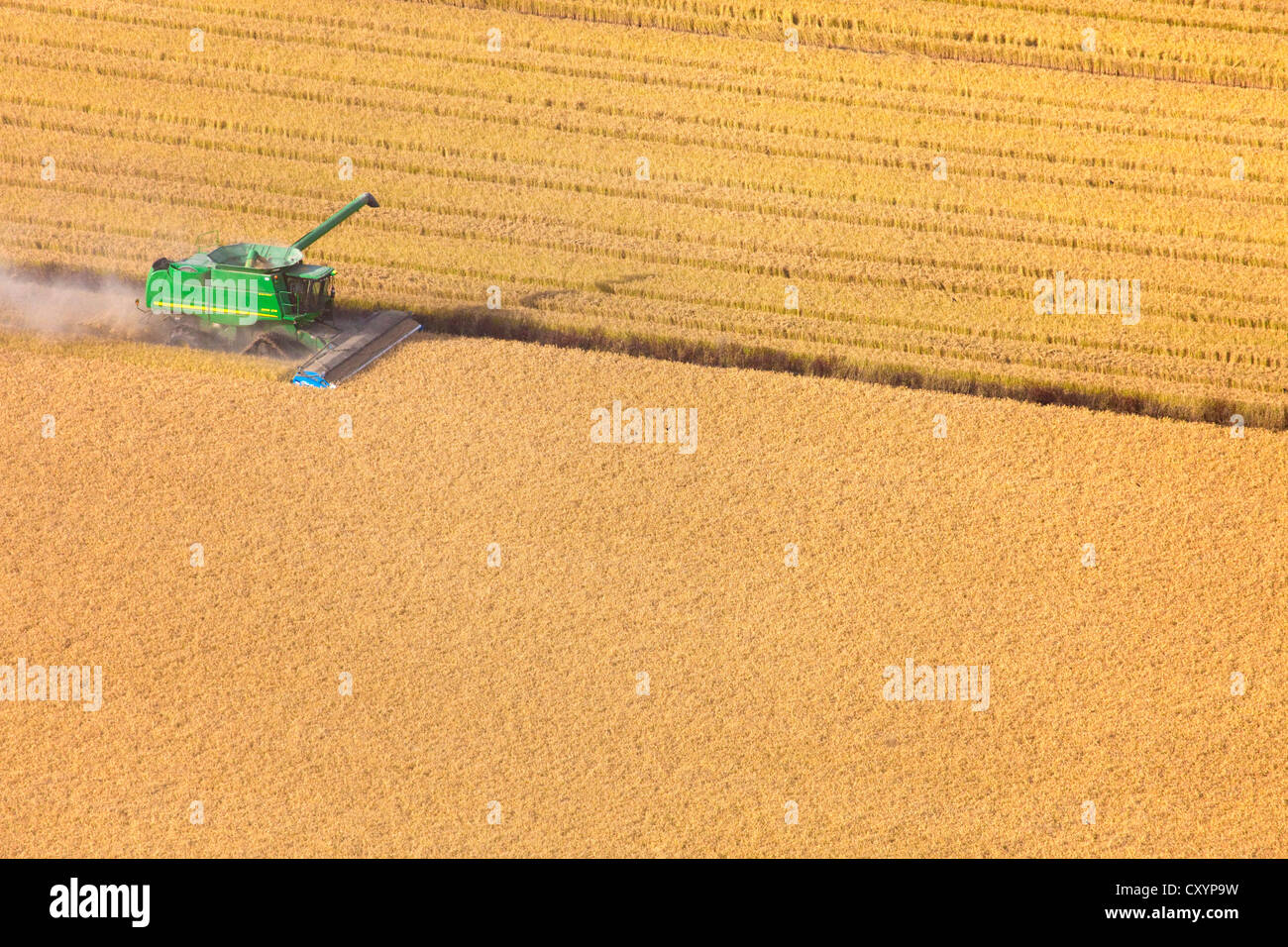 Aerial view of the rice harvest in the Sacramento Valley of Northern ...