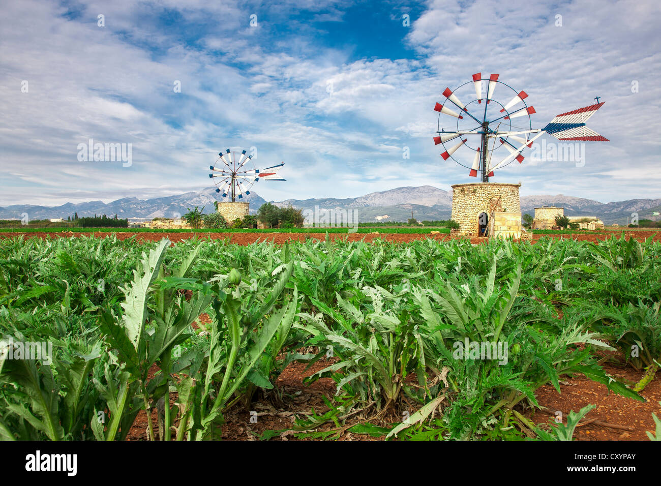 Windmills in sa pobla majorca hi-res stock photography and images - Alamy