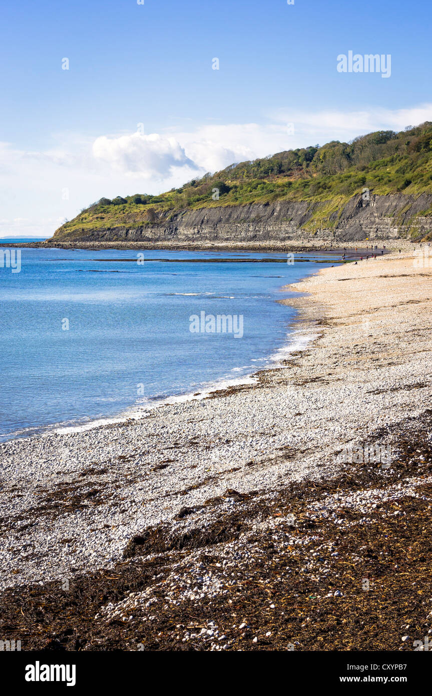 Beach and Undercliff nature reserve at Lyme Regis, Dorset, Uk Stock ...