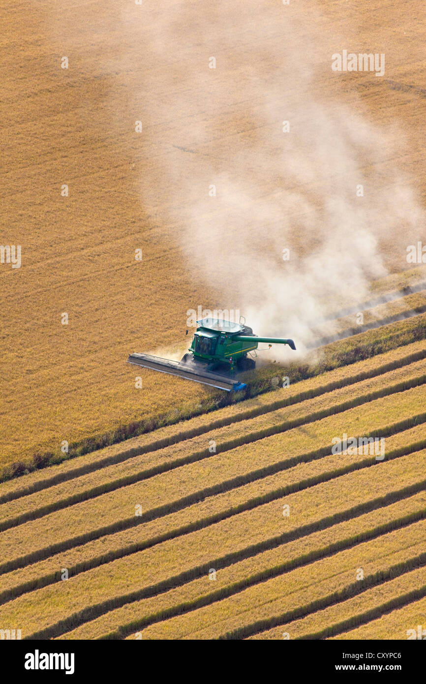 Aerial view of the rice harvest in the Sacramento Valley of Northern ...
