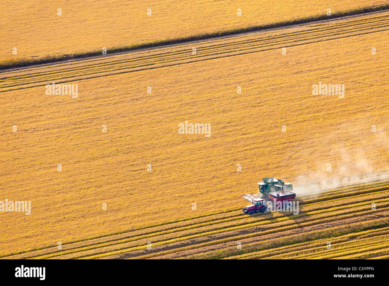 Aerial view of the rice harvest in the Sacramento Valley of Northern ...