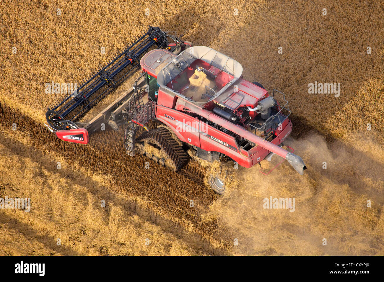 Aerial view of the rice harvest in the Sacramento Valley of Northern ...