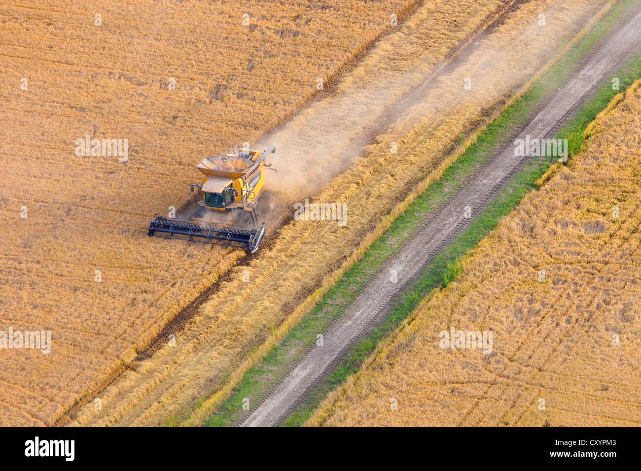 Aerial view of the rice harvest in the Sacramento Valley of Northern ...