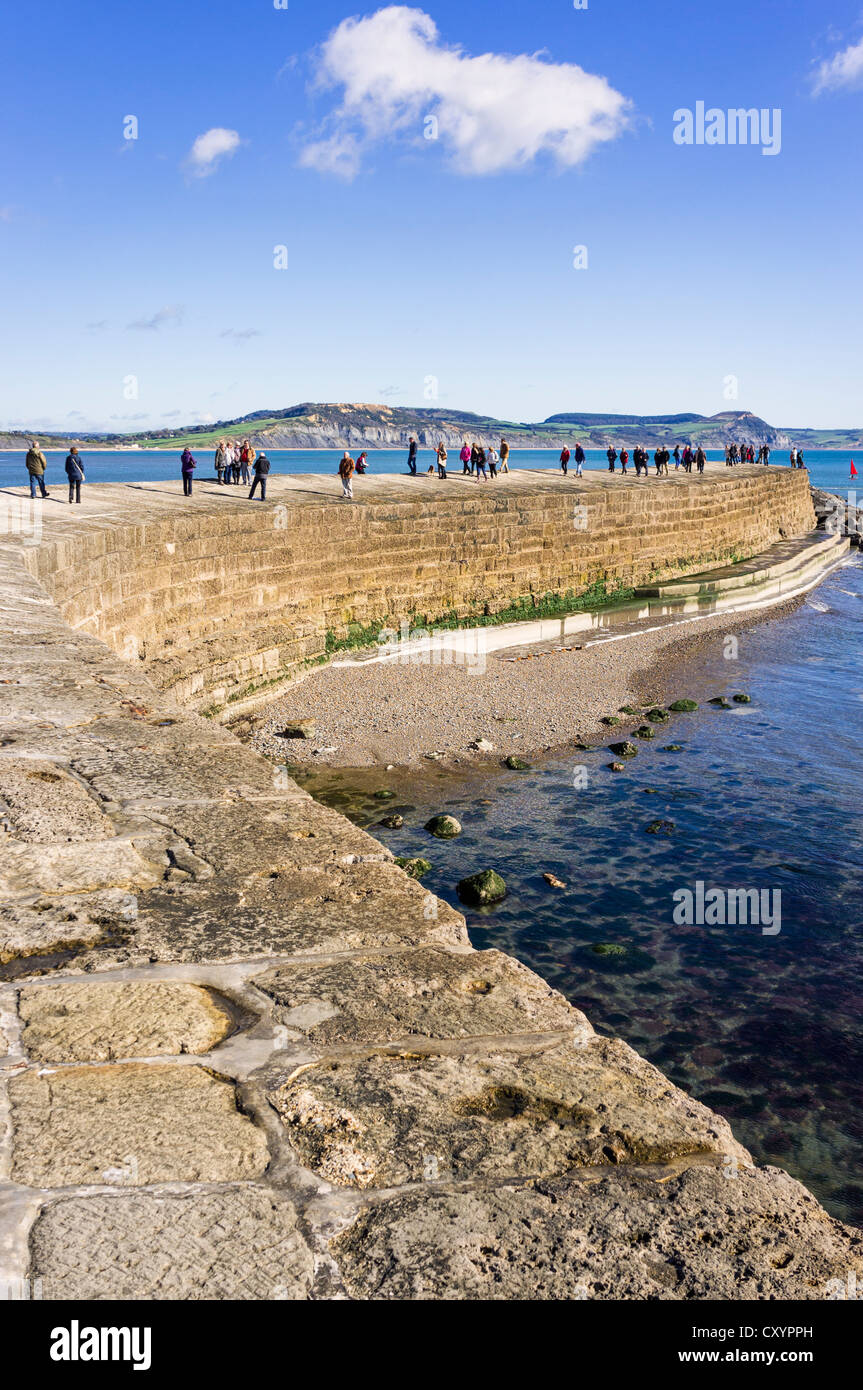The Cobb at Lyme Regis, Dorset, UK Stock Photo - Alamy