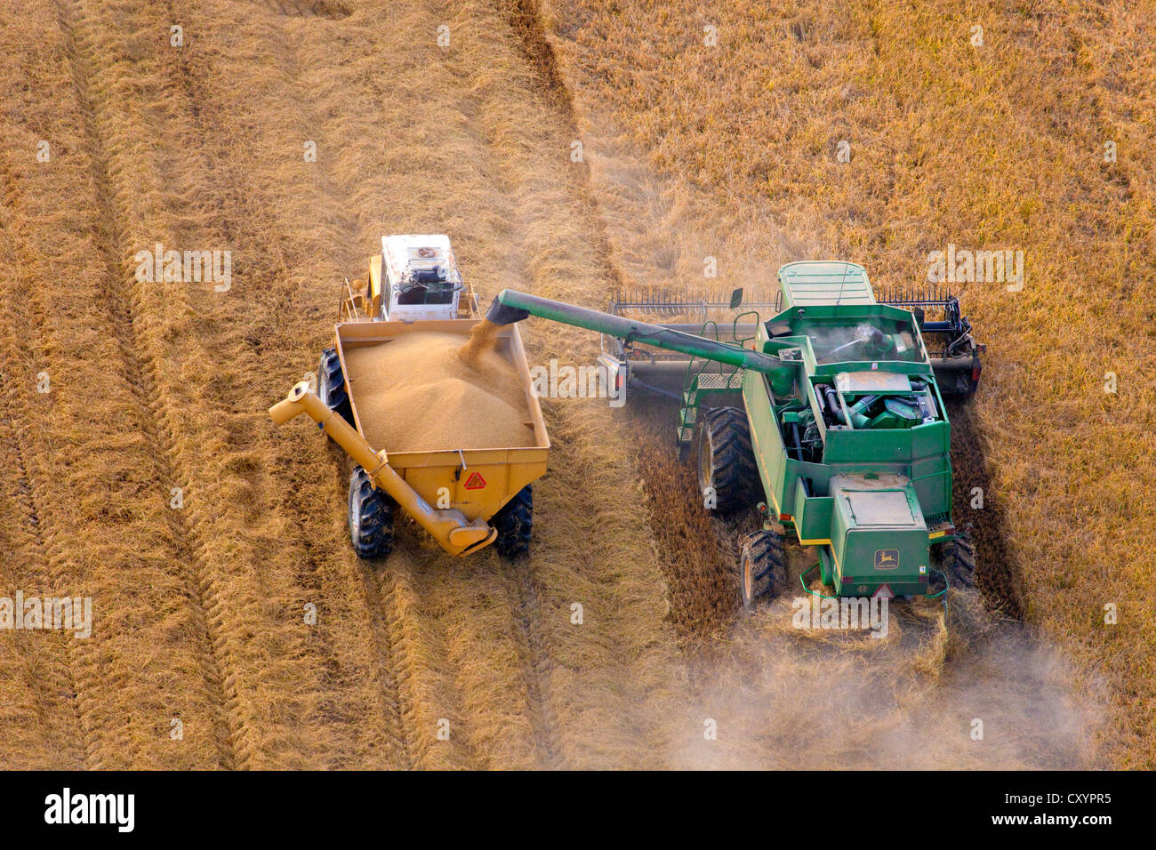Aerial view of the rice harvest in the Sacramento Valley of Northern ...