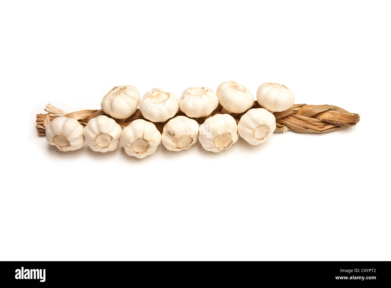 String of garlic bulbs isolated on a white studio background Stock ...