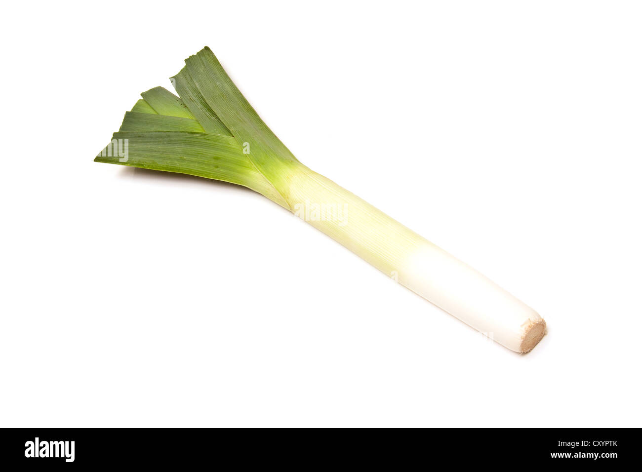 Leek vegetable isolated on a white studio background Stock Photo - Alamy