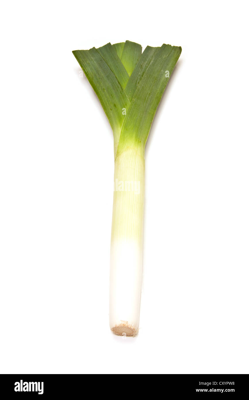 Leek vegetable isolated on a white studio background Stock Photo - Alamy