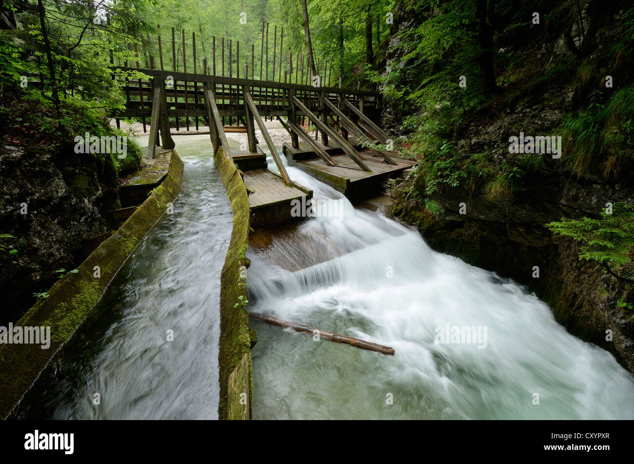 Traditional timber floating line in the Mendling Valley, Lower Austria ...