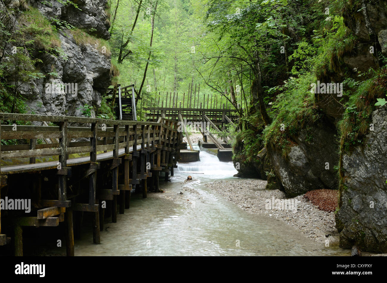 Traditional timber floating line in the Mendling Valley, Lower Austria ...