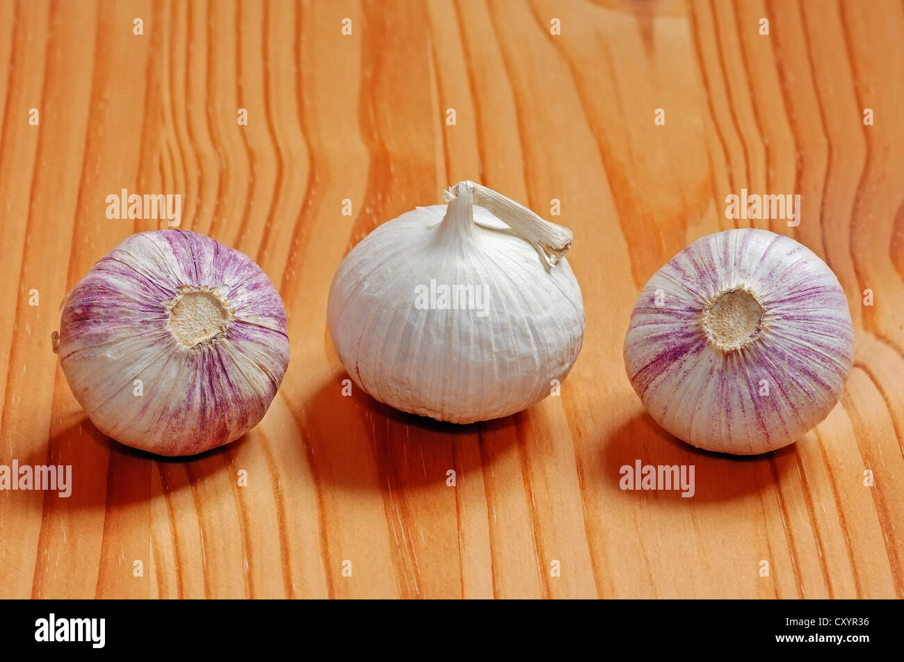Allium sativum plant plants hi-res stock photography and images - Alamy