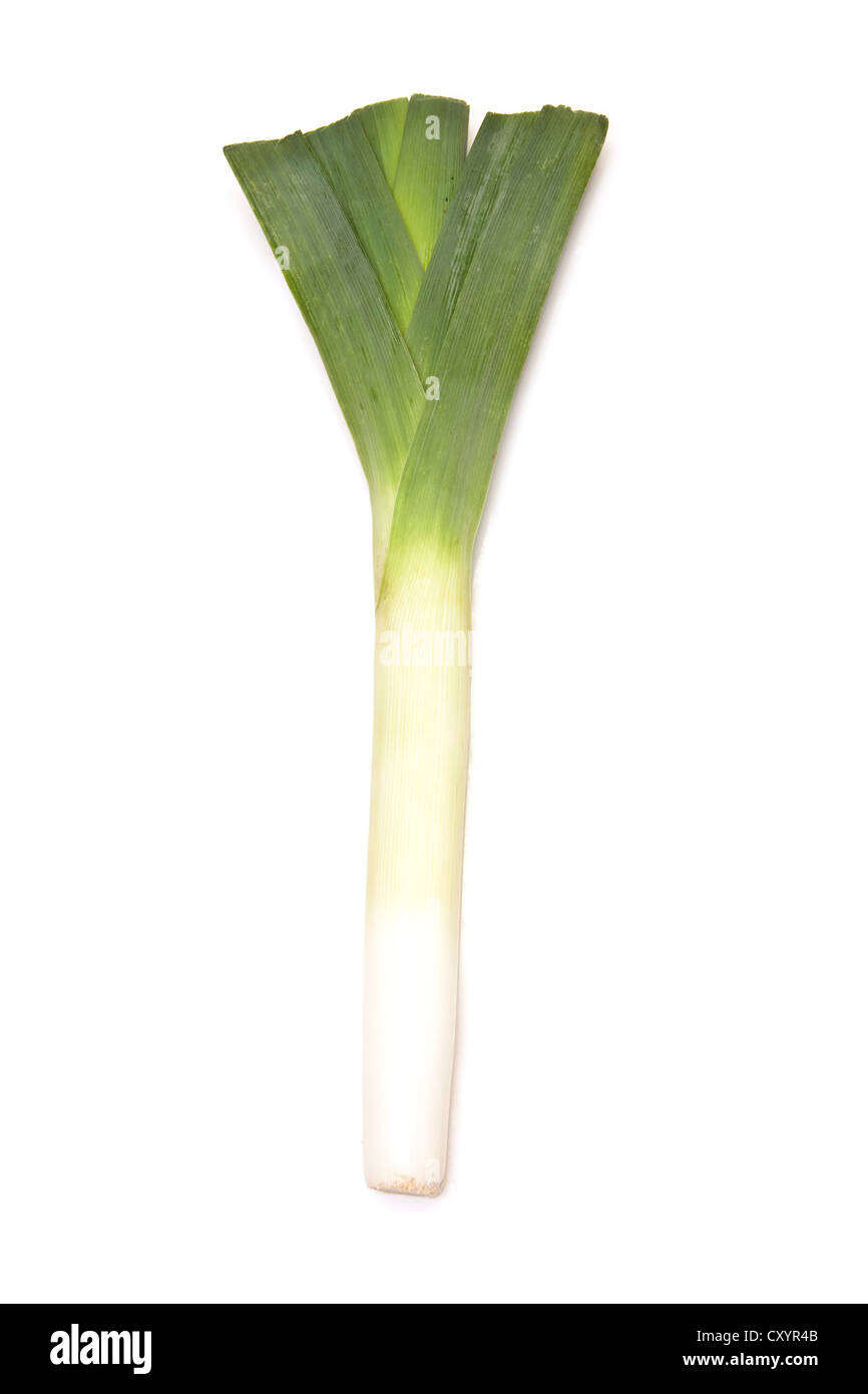 Leek vegetable isolated on a white studio background Stock Photo - Alamy