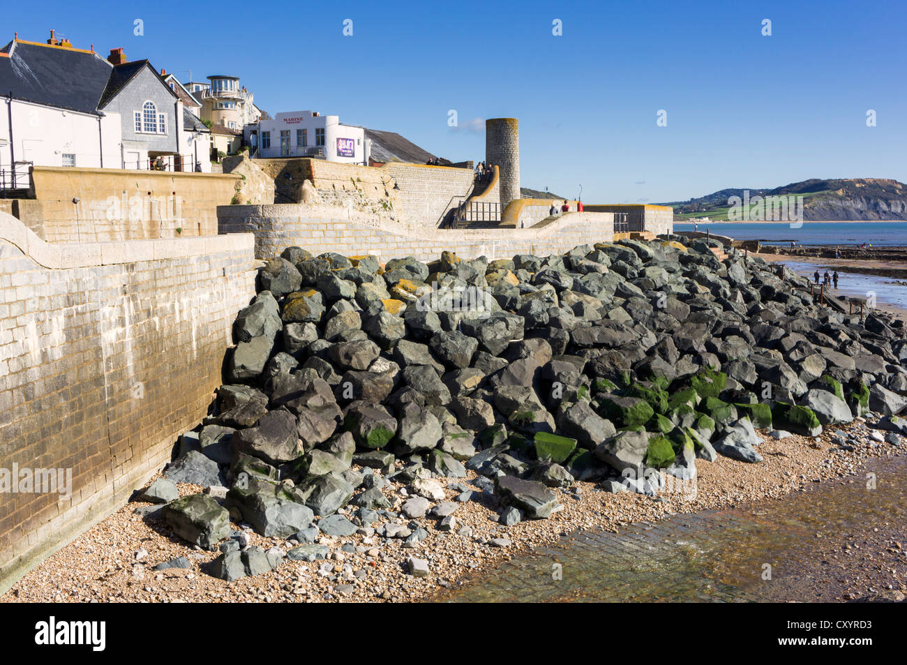 Sea defences at Lyme Regis, Dorset, Uk Stock Photo - Alamy