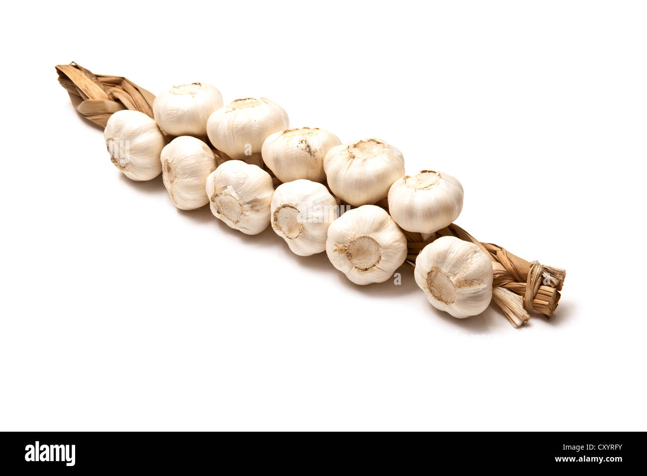 String of garlic bulbs isolated on a white studio background Stock ...