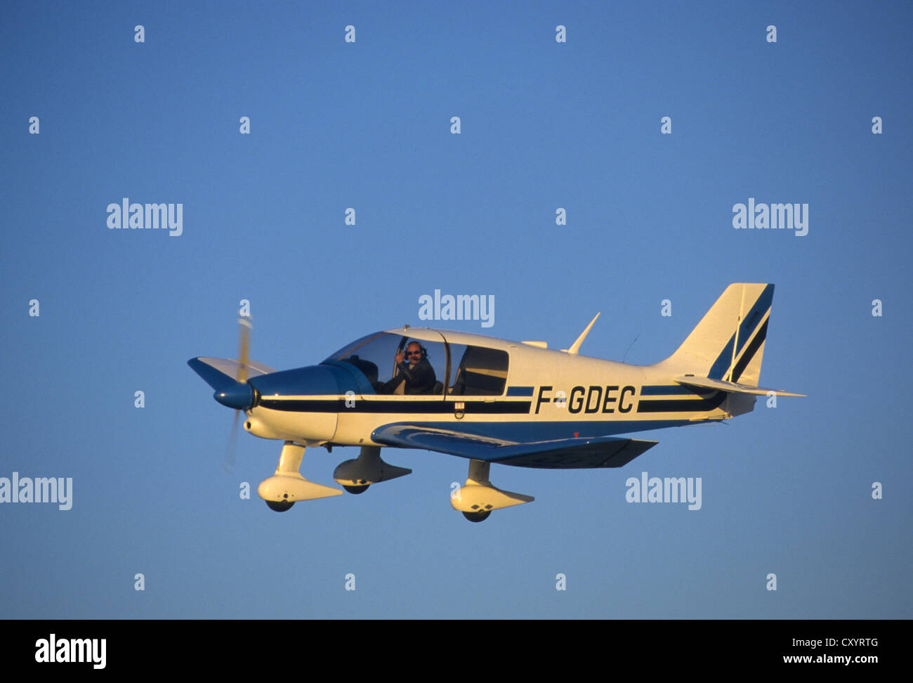 Robin in mid flight hi-res stock photography and images - Alamy