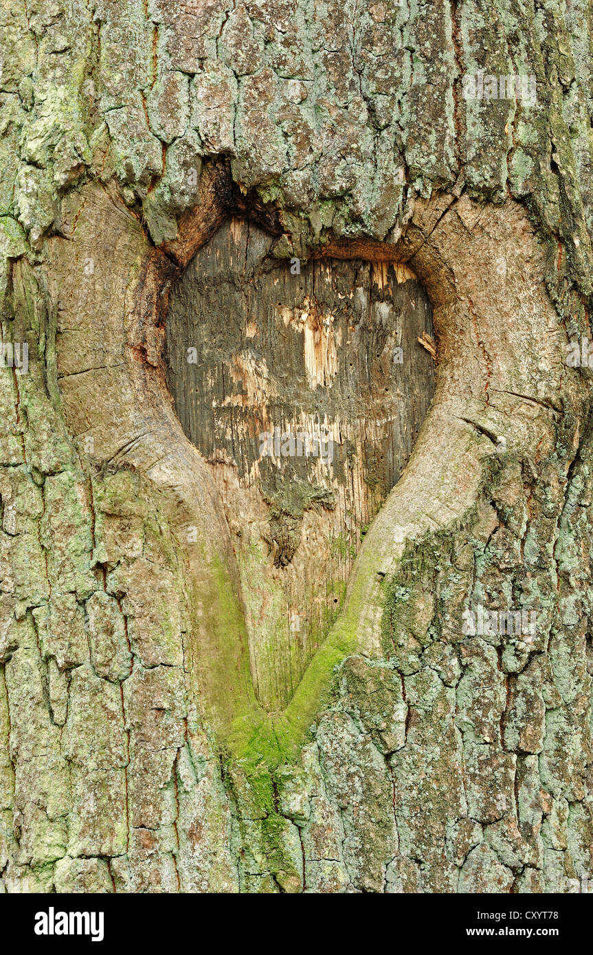 Carved heart hi-res stock photography and images - Alamy