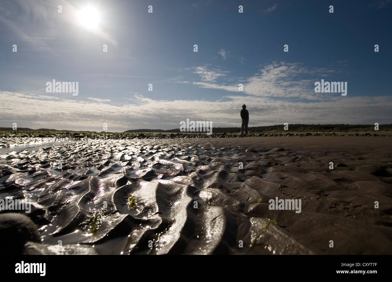 Wide beach in wales hi-res stock photography and images - Alamy