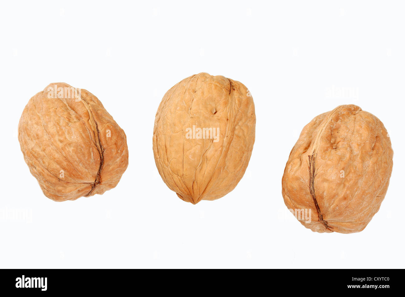 Walnuts (Juglans regia Stock Photo - Alamy