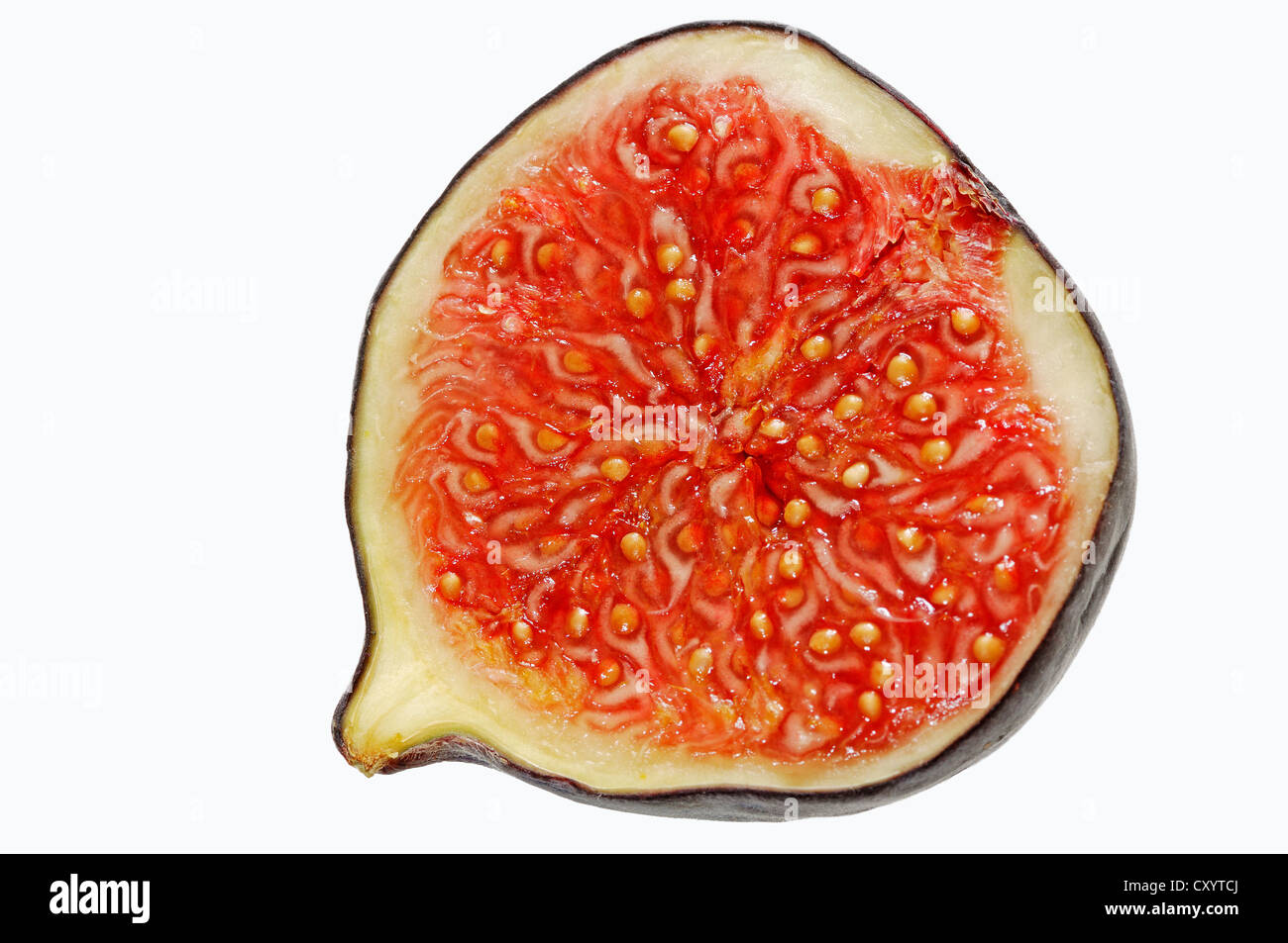 Fig (Ficus carica), halved fruit Stock Photo - Alamy