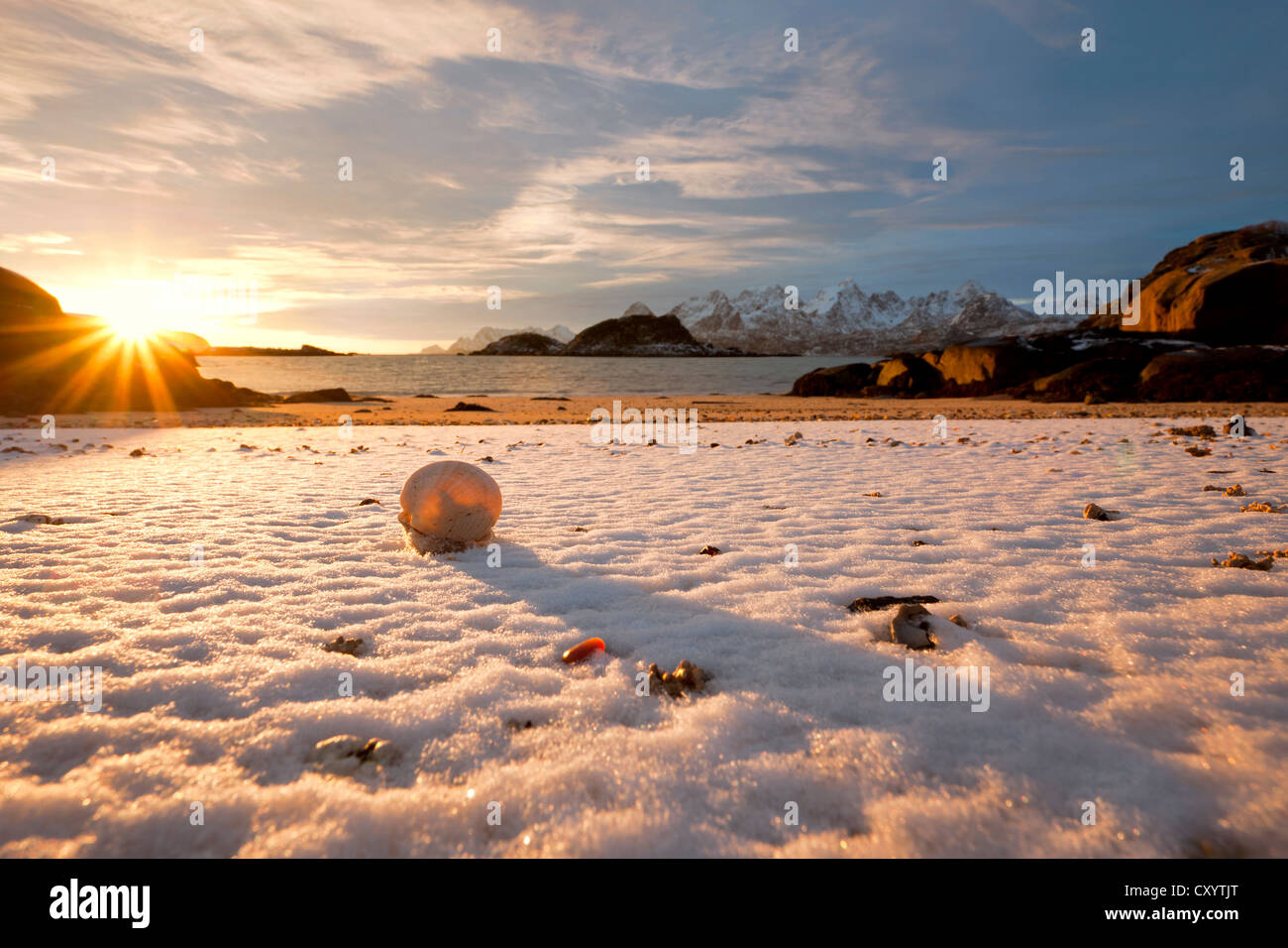 Shell covered beach hi-res stock photography and images - Alamy
