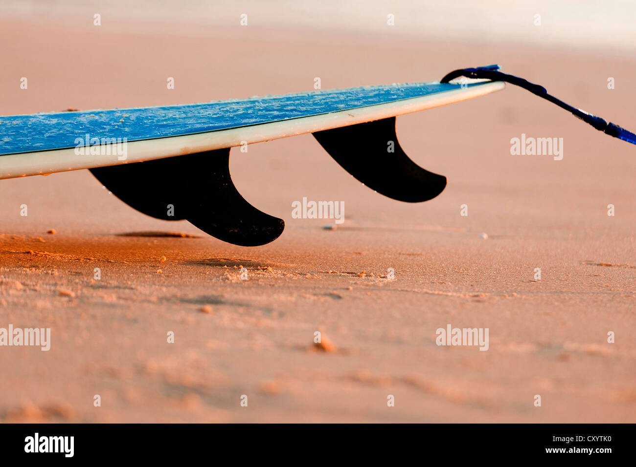Tail of a surfboard on the sand with three fins Stock Photo - Alamy
