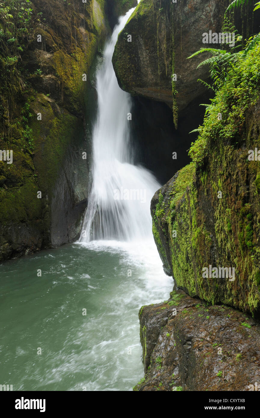 Waterfall at the source of Rio Savegre, San Gerardo de Dota, Costa Rica ...