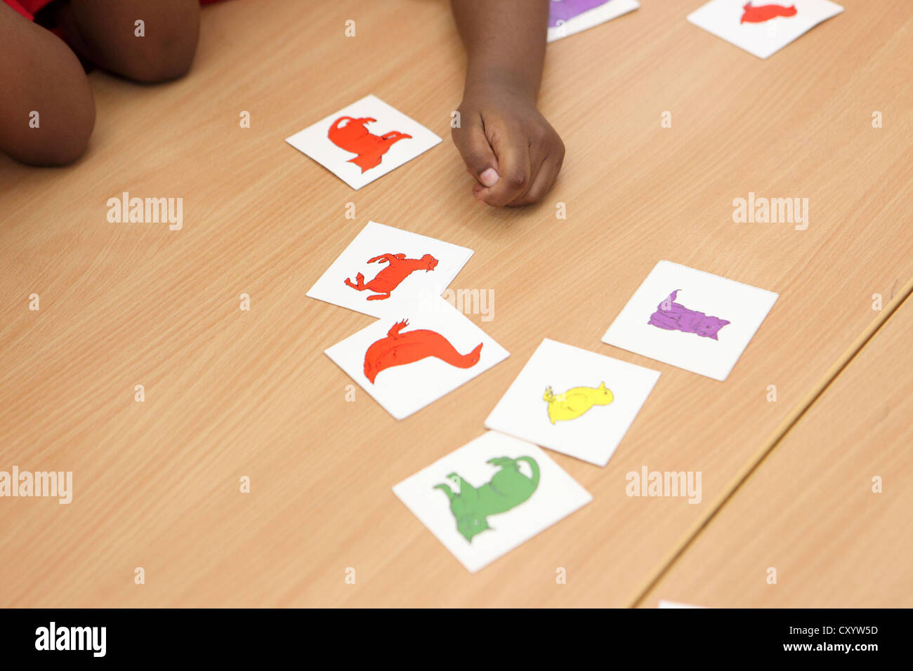 close-up of child's hand and arm, with animal picture cards, making ...