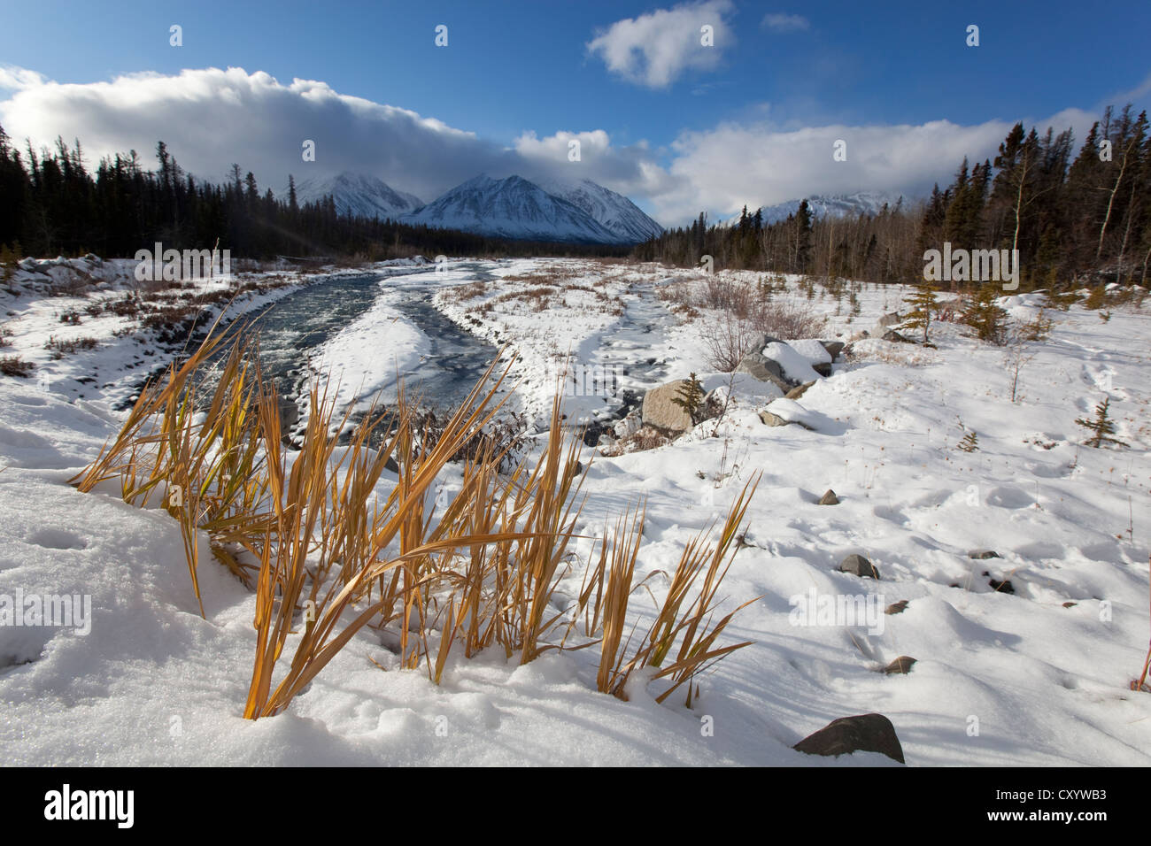 Kluane mountains hi-res stock photography and images - Alamy