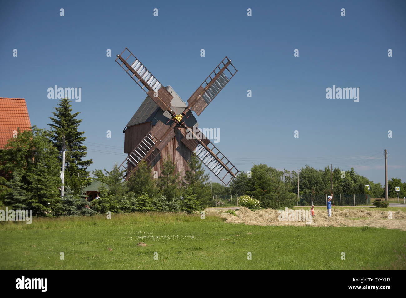 Glaucha windmill, Eilenburg, Bad Dueben, Muldental region, Mulde river ...