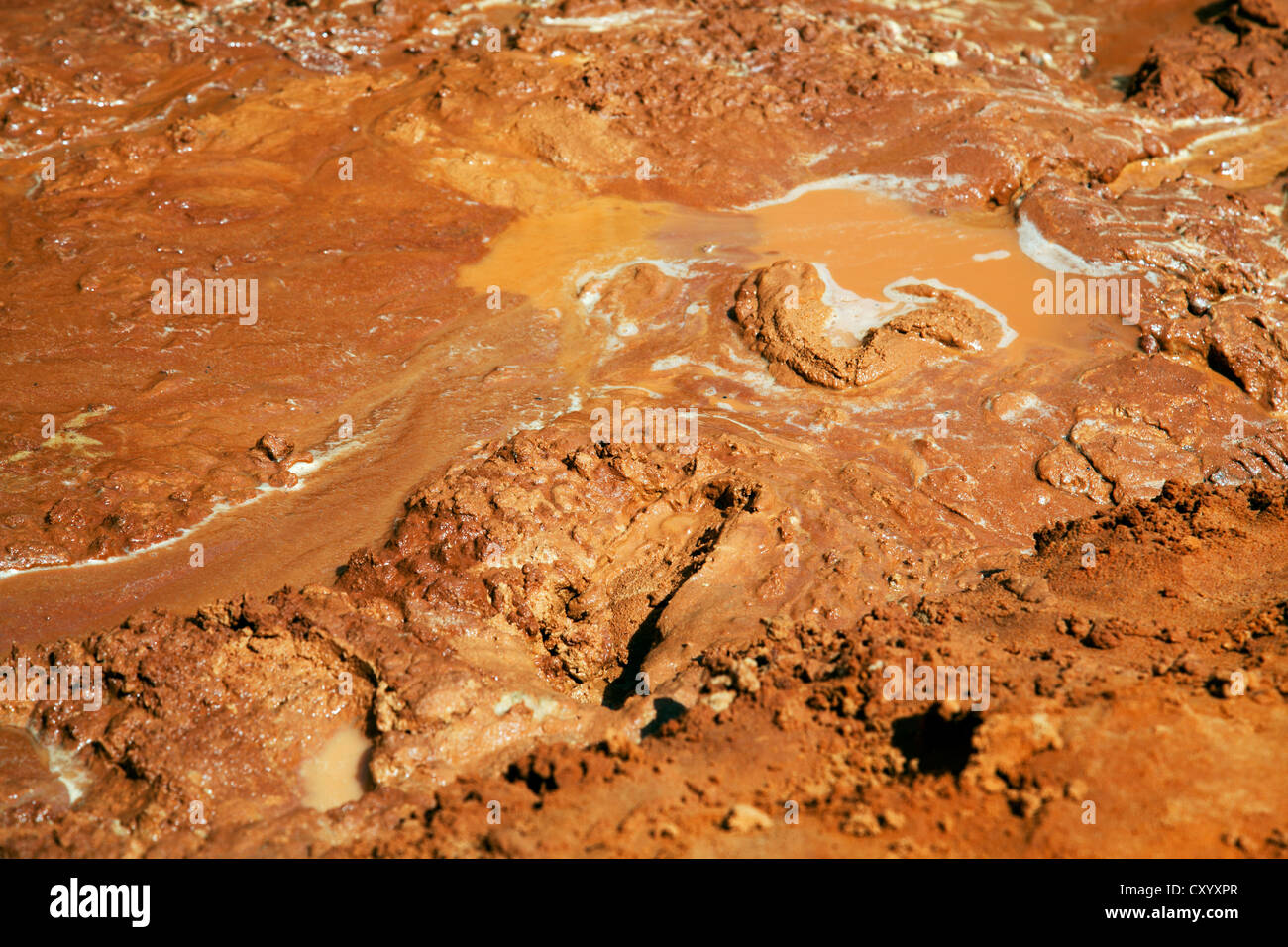 Red of vietnam hi-res stock photography and images - Alamy