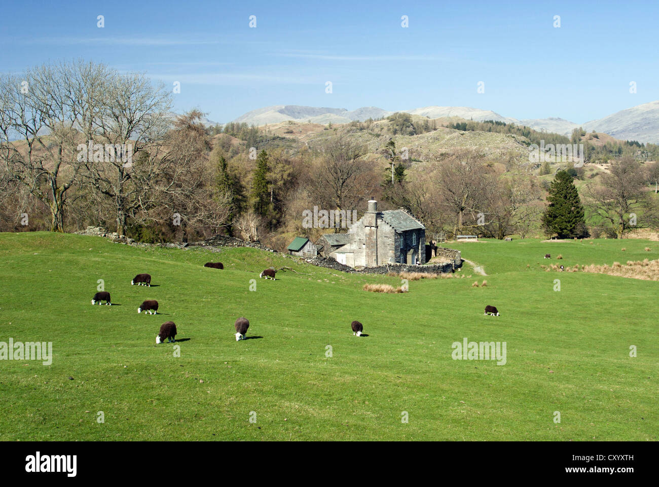 Spring in lake district hi-res stock photography and images - Alamy