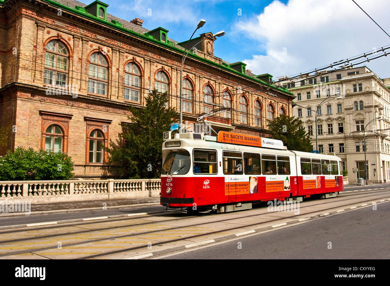 Cable car moving down ringstrasse hi-res stock photography and images ...