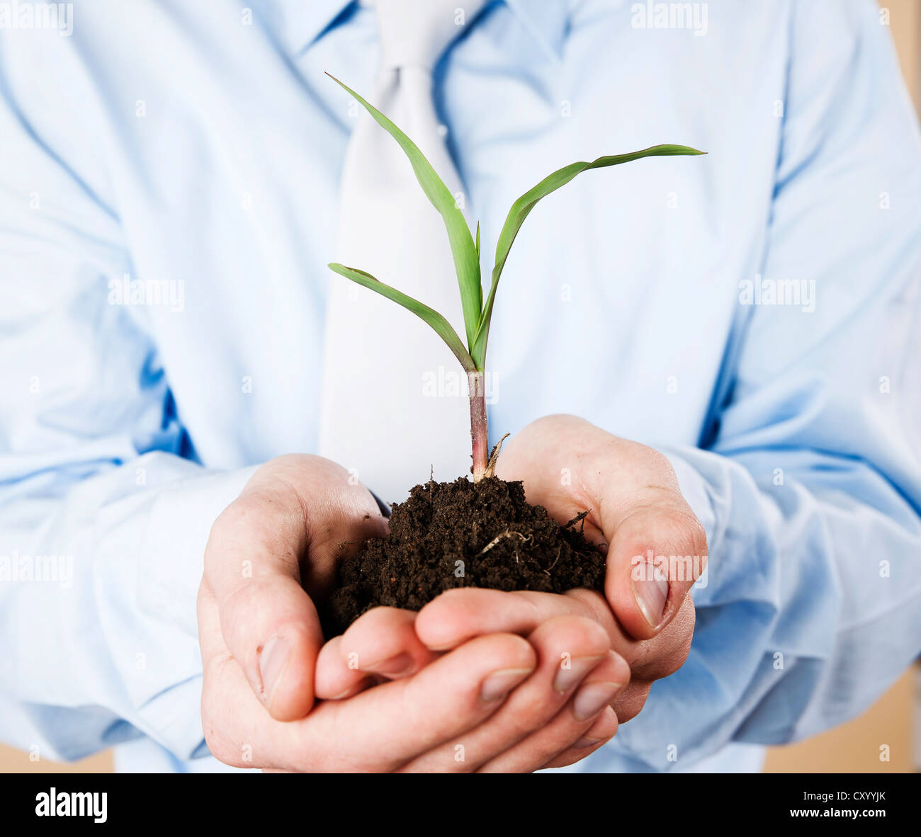 Young manager holding a plant in his hands Stock Photo - Alamy