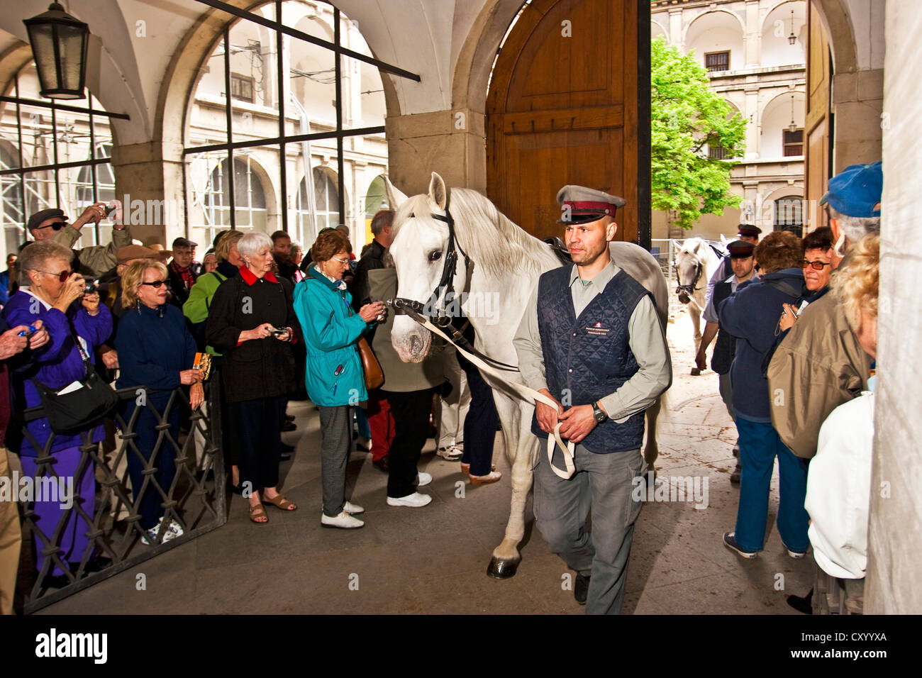 Vienna. Austria, Tourists take photos of the famous Lipizzaner horses ...
