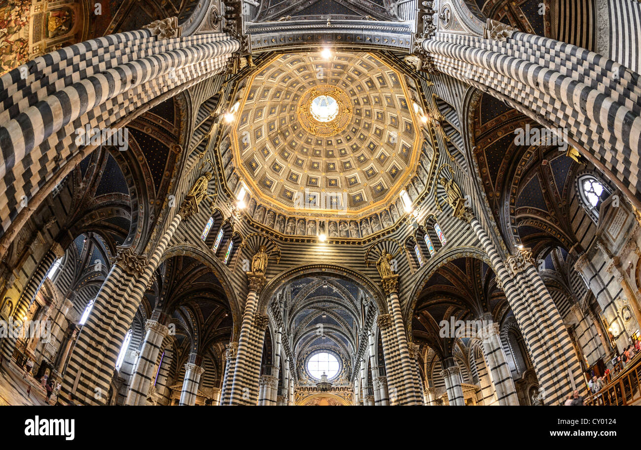 Siena cathedral interior dome hi-res stock photography and images - Alamy
